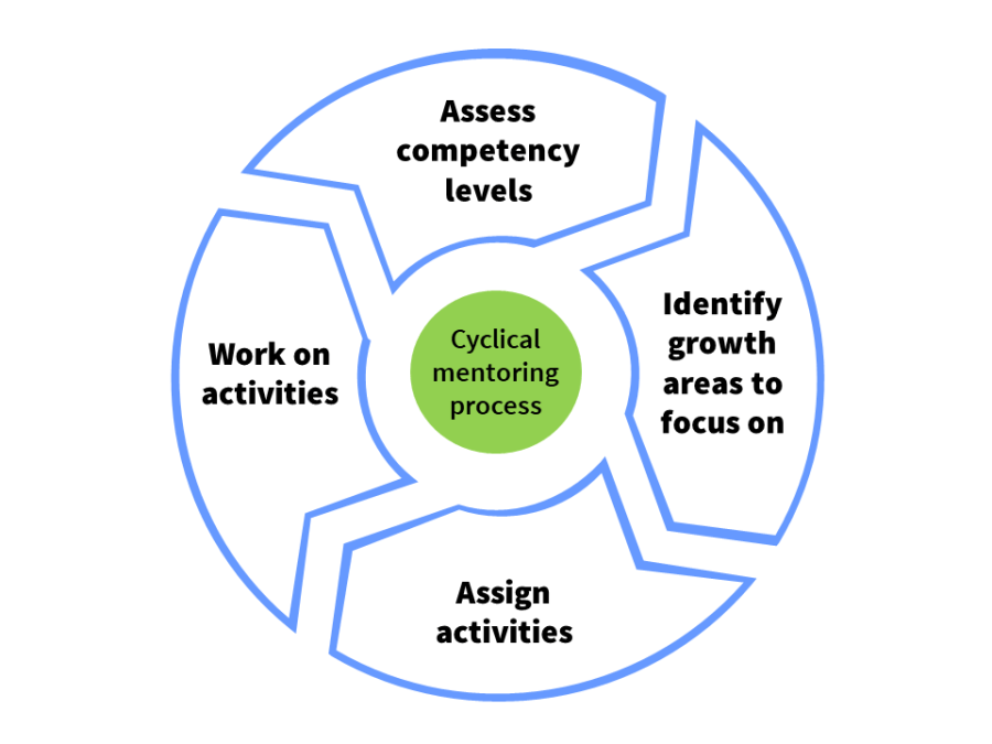 Consultant Competencies – General Core Competencies